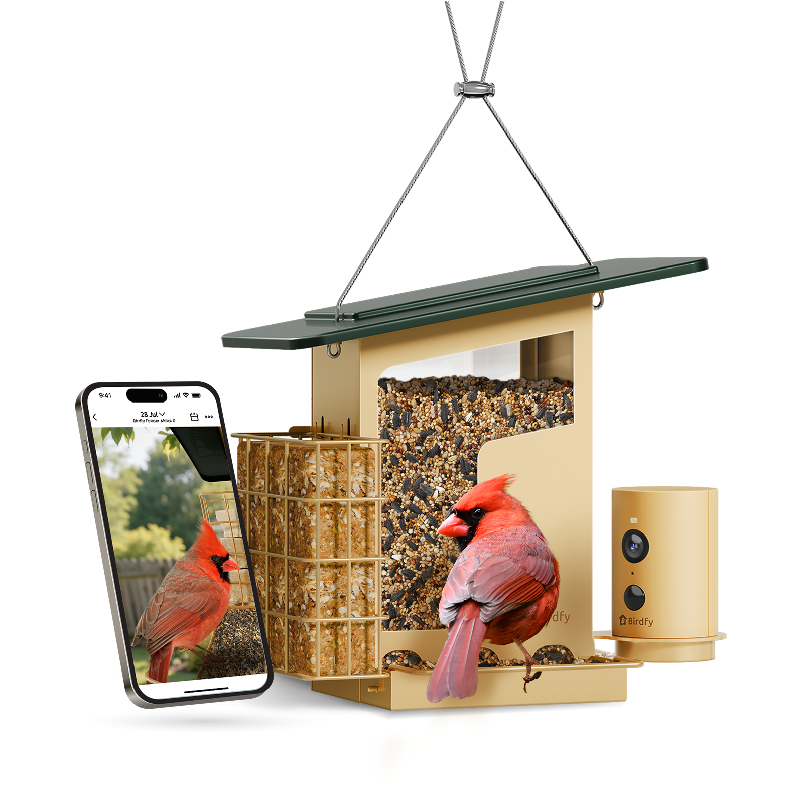 Birdfy Feeder Metal S – wholesale.birdfy